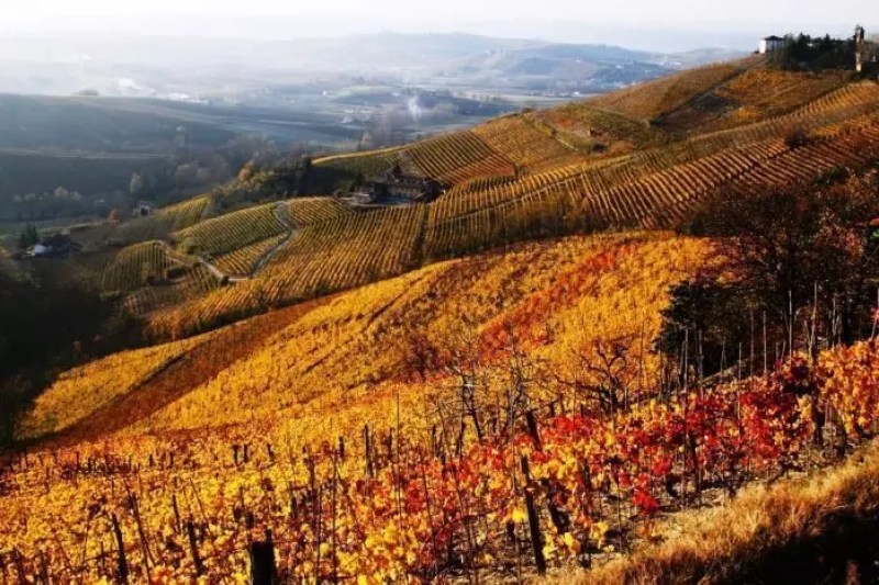 Viaggio tra sapori e tradizioni nel gusto ad ottobre in piemonte ...